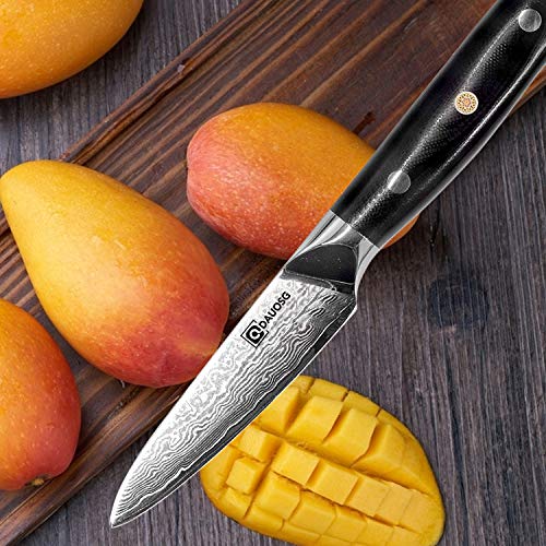 DDAUOSG Paring Knif 3.5 inch Japanese VG10 Super Steel 67 Layer High Carbon Stainless Damascus Steel Peeling Utility knives