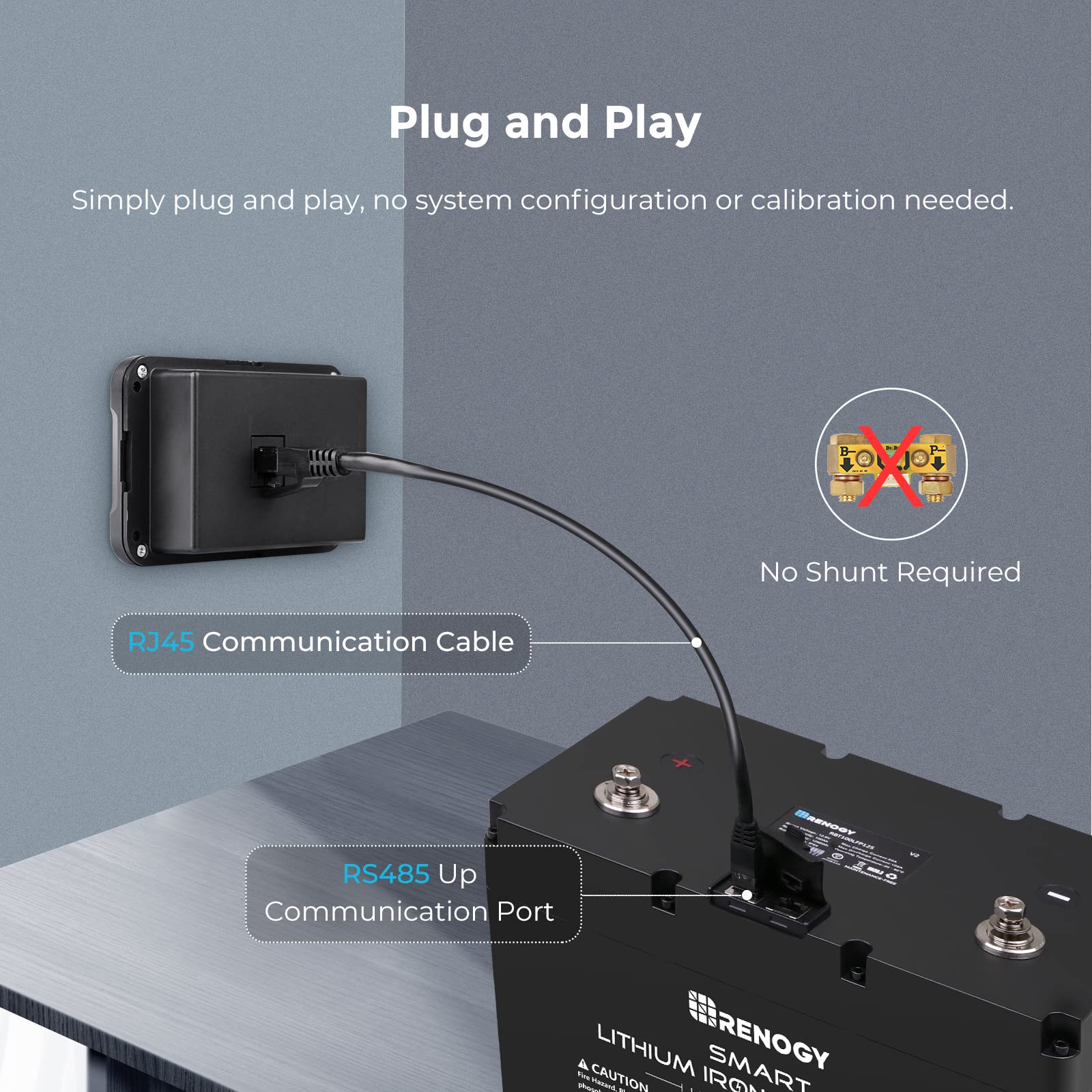 Renogy Monitoring Screen for Smart Lithium Battery Series,Black