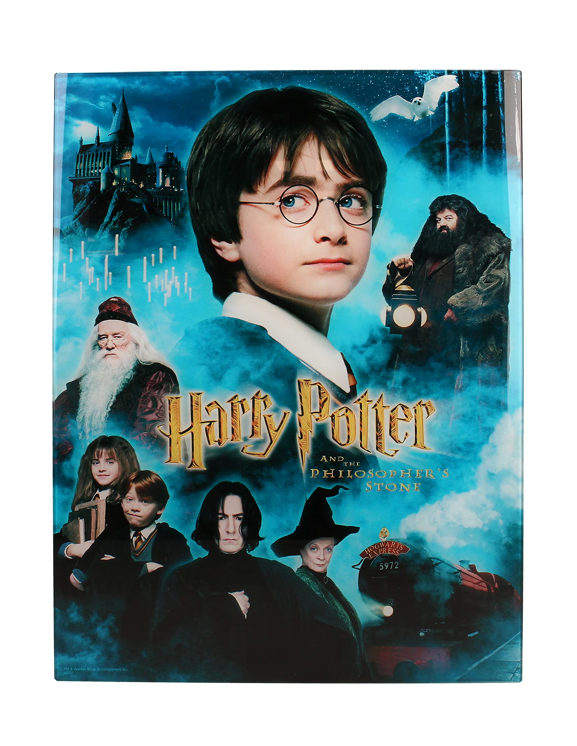 Harry Potter - Impression en Verre - Philosopher's Stone - 30X40 Cm