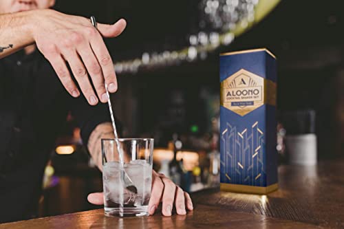 11-Piece Silver Boston Cocktail Shaker Set Bartender Kit | Drink Mixer Bar Set | Cocktail Set Bar Accessories: Martini Shaker, Strainer, Jigger, Muddler, Spoon, & More