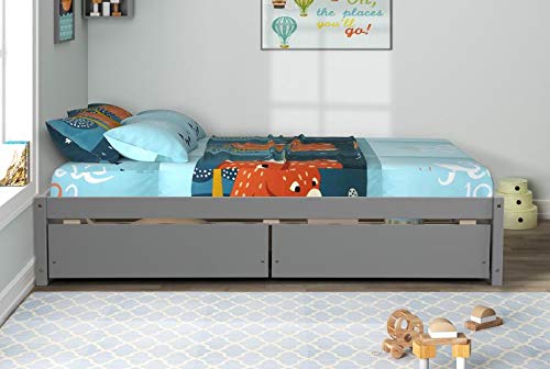 Twin Size Platform Bed with 2 Storage Drawers,Twin Bed Frame with Storage, Solid Wood Daybed with No Headboard for Kids Teen Grils Boys,Easy Assembly (Gray)