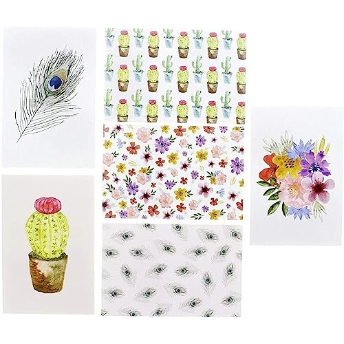 48-Pack All Occasions Cards with Envelopes, 6 Watercolor Floral Peacock Feather Designs, Blank Insides for Anytime, Birthdays, Wedding, 4x6