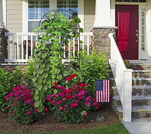 2 Packs 64"x17" Metal Garden Trellis for Climbing Plants Rustproof Sturdy Black Iron Trellis Plants Support Outdoor for Climbing Vegetable Rose Potted Plants Flower Cucumber Clematis