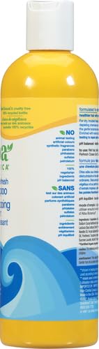 Alba Botanica Repair & Refresh Shampoo, Ocean Surf, 12 Oz