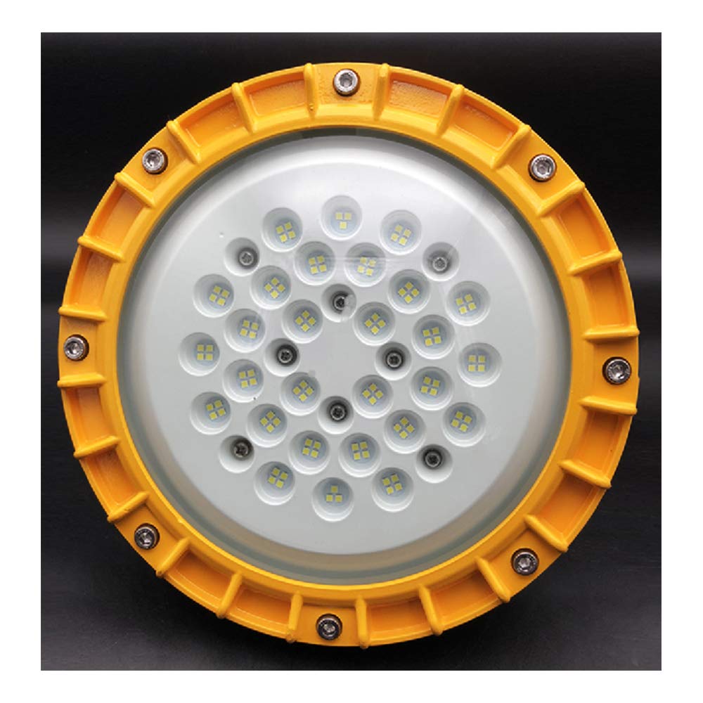100w led Explosion-Proof Light high Bay Explosion Proof led Light with Exdemb II CT6 and Anti-Corrosion Rating WF2, IP66 Waterproof ATEX LED Gas Station Light (100)