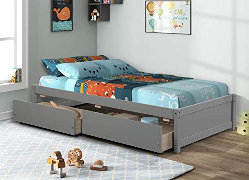 Twin Size Platform Bed with 2 Storage Drawers,Twin Bed Frame with Storage, Solid Wood Daybed with No Headboard for Kids Teen Grils Boys,Easy Assembly (Gray)