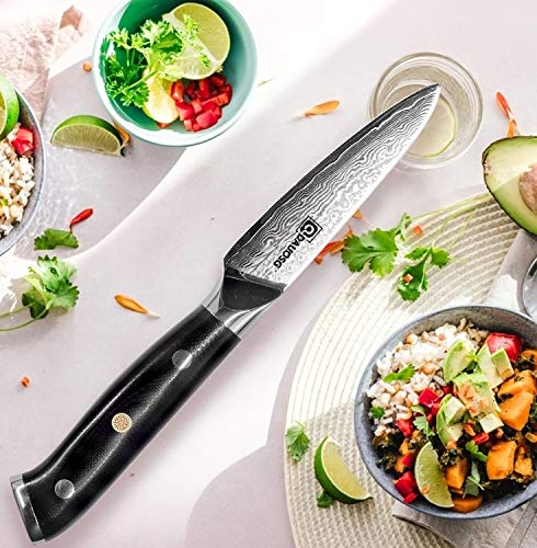 DDAUOSG Paring Knif 3.5 inch Japanese VG10 Super Steel 67 Layer High Carbon Stainless Damascus Steel Peeling Utility knives