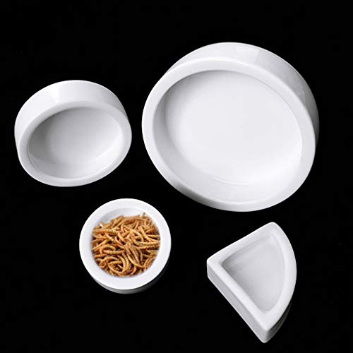 7haofang Ceramics Reptile Feeder Water Food Dish Feeding Bowl Turtle Lizard Snake Basin