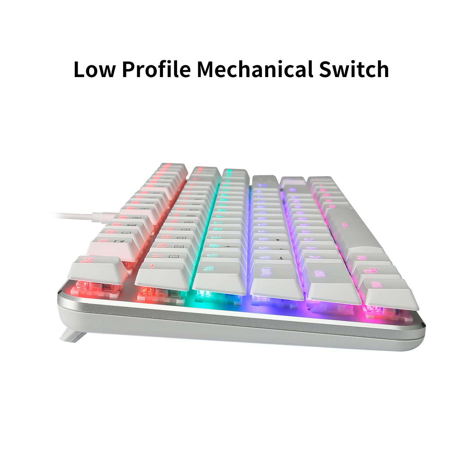 chuangquan Z-66 Mechanical Keyboard, Blue Switches, Wired Gaming Keyboard, Rainbow LED Backlit, USB Type-C Cable, Compact 87Keys, for Windows PC Laprop Mac