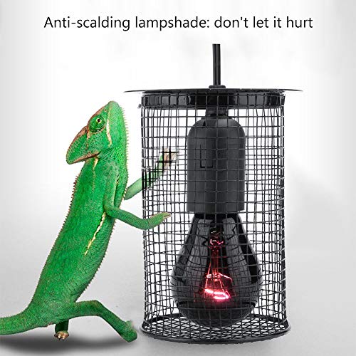 Wchiuoe Reptile Lamp Cover, Round Reptile Anti-Scald Lamp Cover Heater Guard for Heating Light Reptile Protection, Heating Bulb Guard Pet Scald Prevention