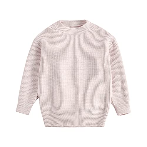 HEZIOWYUN Newborn Baby Girls Boys Knit Sweater Long Sleeve Knitted Sweaters Fall Winter Warm Crewneck Pullover for Toddler Clothes (Pale Pink, 6-12 Months)