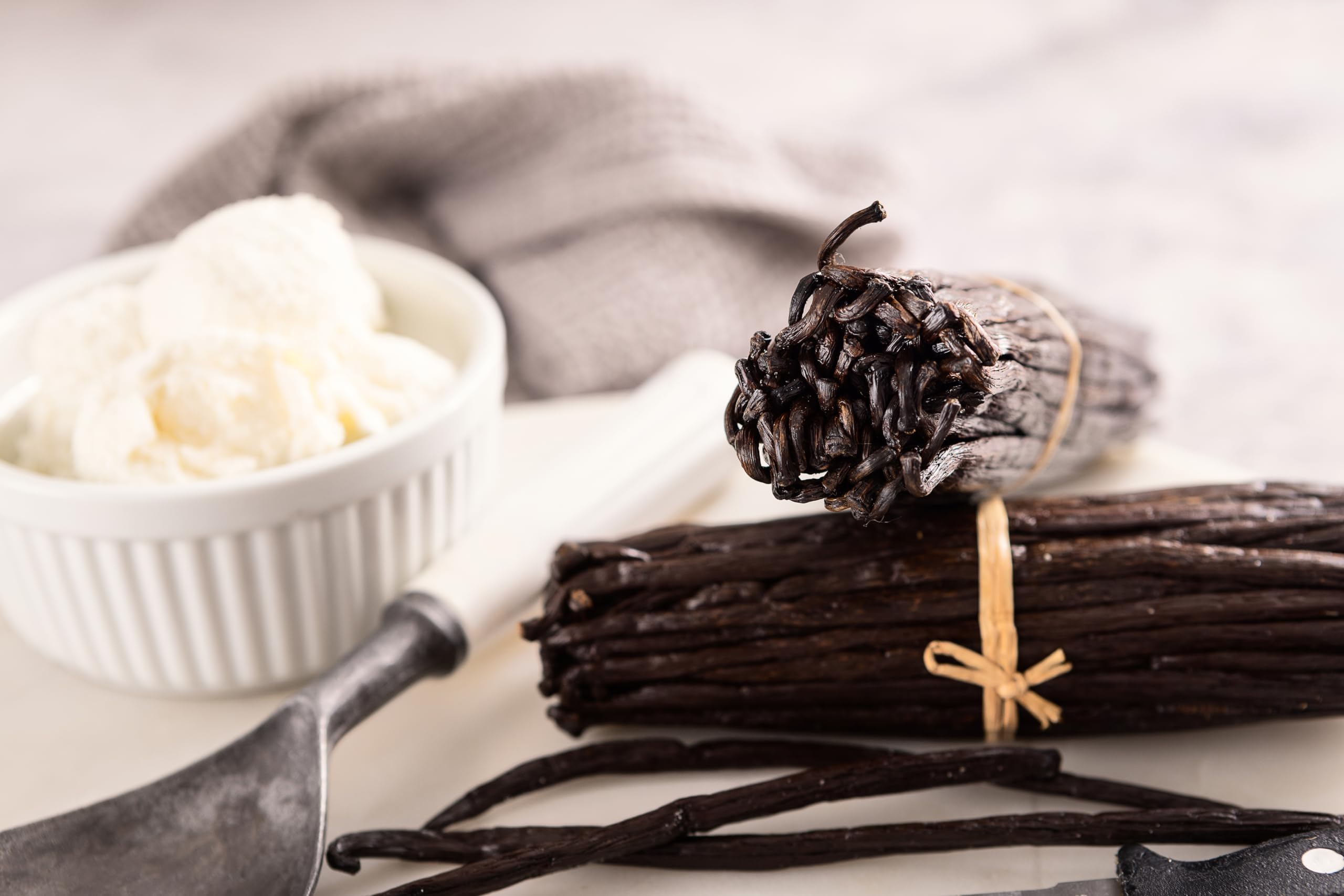 10 Vanilla Beans - Whole Extract Grade B Pods for Baking, Homemade Extract, Brewing, Coffee, Cooking - (Tahitian)