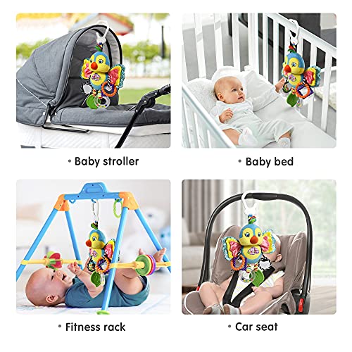 stochastic box Baby Rattle Toy with Baby Mirror,Newborn Toys 0 3 6 Months Brain Development,Great Gift for Girl&boy (Bird)