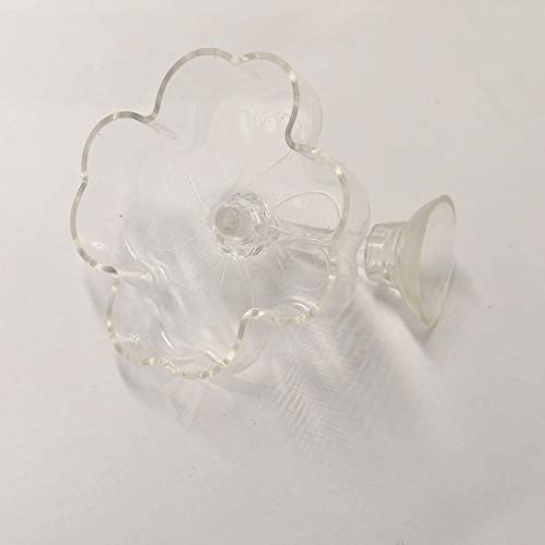 JZMYXA Aquarium Shrimp/Small Fish Feeding Dish Feeder Dish, Acrylic Material, Mini Size (Clover Shaped)