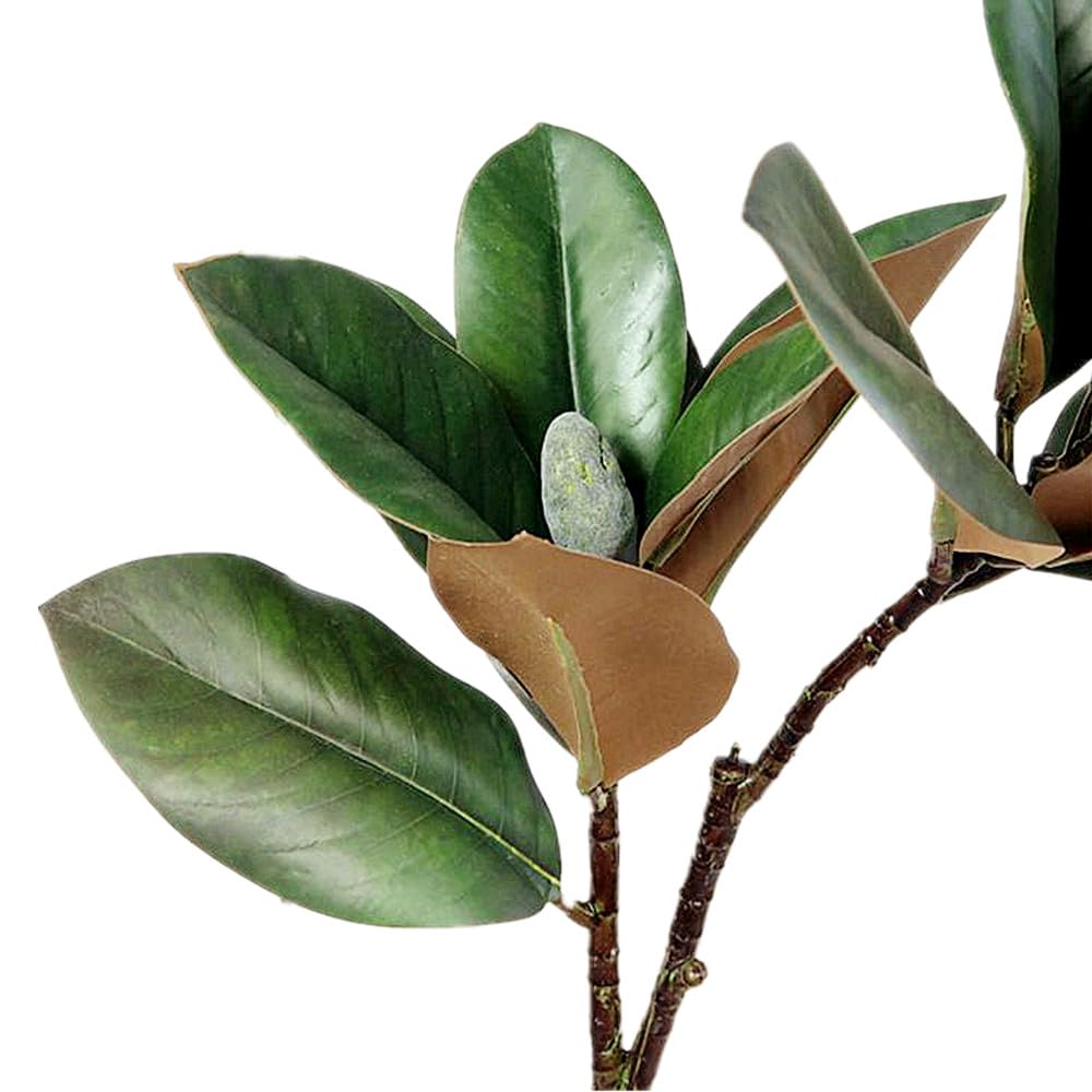 32 Inch Magnolia Artificial Leaves Branches 3D Plastic Printing Houseplant Plant Indoor Outdoor Home Decor (Dark Green - Pack of 2)