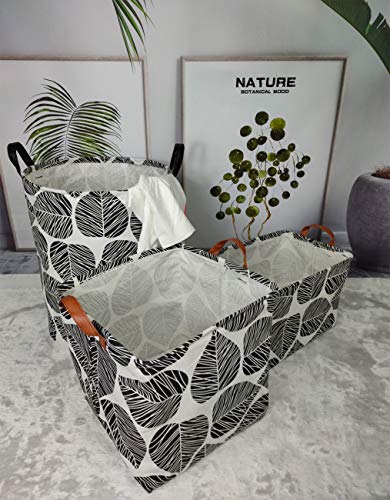 ASKETAM Square Canvas Collapsible Fabric Baby Toy Box Storage Bin Bedroom Decor Closet Kids Laundry Baskets Toy Organizer,Shelf Basket Nursery Storage,Gift Baskets(Black Leaves)
