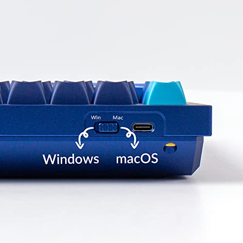 Keychron Q1 RGB Wired Custom Mechanical Keyboard, 75% Layout QMK/VIA Programmable Macro with Hot-swappable Gateron G Pro Blue Switch Double Gasket Compatible with Mac Windows Linux (Blue) -Version 2