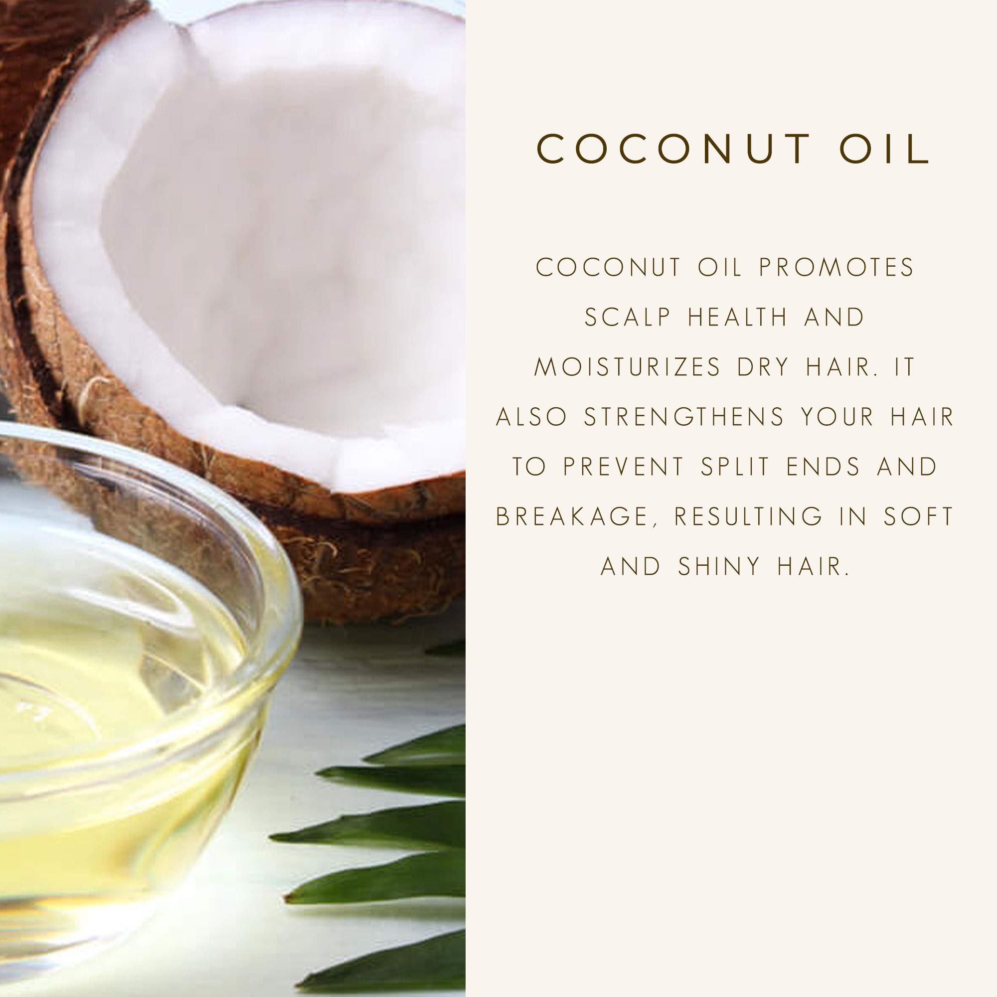 Pierre'S Apothecary Coconut Nourishing Shampoo for Moisturizing | Avocado Oil and Sunflower Oil - 33.8 fl oz