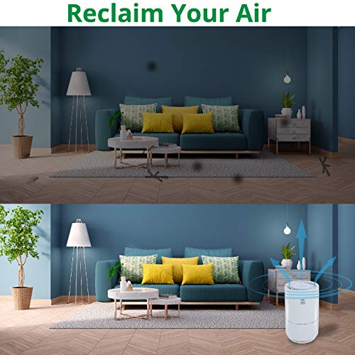 HEPA Filter Air Purifier for Extra Large Room, 25db Quiet Cleaner for Virus, Bacteria, Pollen, Smoke, Dust, White