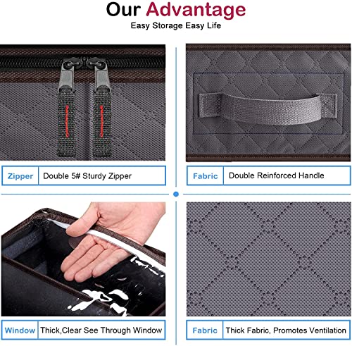 Anyoneer Under Bed Shoe Storage Organizer, Set of 2, Sturdy Structure, Adjustable Dividers, Reinforced Handle, Sturdy Zipper, Fits 24 Pairs Total, Underbed Storage Solution with Clear Window, Breathable, Gray