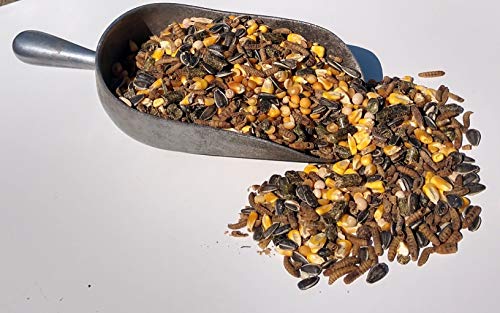Chicken Feed Treat 10 lbs | USA Produced Grubs (Black Fly Larvae) & Organic Whole Grains