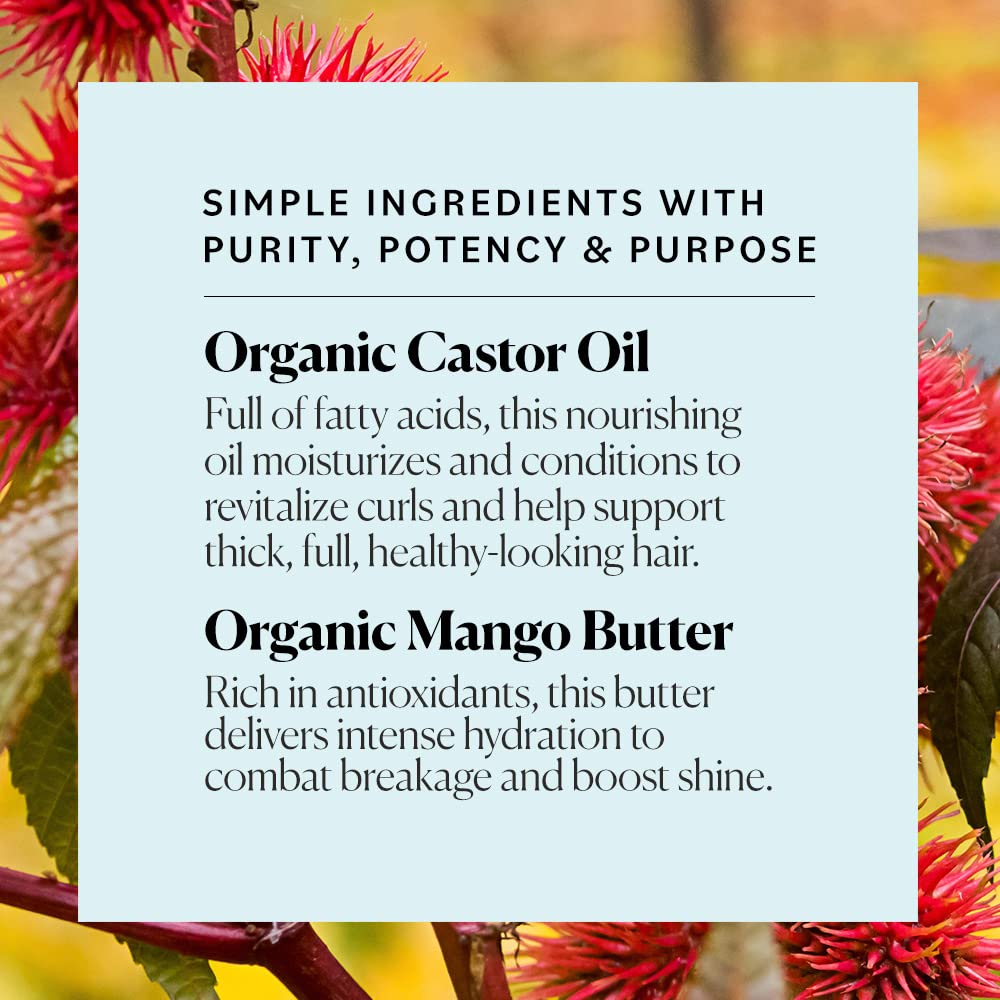Sky Organics Curl Care Bio-Based Treatment Mask for Hair USDA Certified Bio-Based to Repair, Strengthen & Soften Curls, 8 fl. Oz