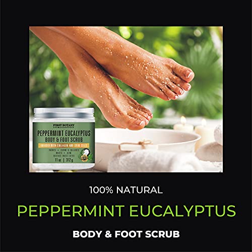 First Botany Body Scrub - Natural Exfoliating Salt Scrub & Body and Face Souffle helps with Moisturizing Skin, Acne, Cellulite, Dead Skin Scars, Wrinkles (10 fl oz, Lavender)
