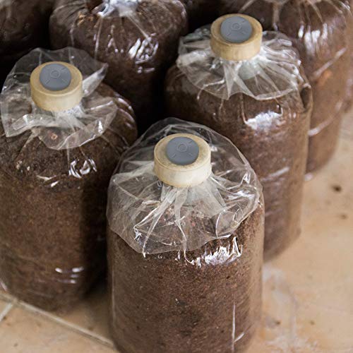 64 Pieces Synthetic Filter Paper Stickers 0.3 um Filter Disc Mushroom and 100 Pieces Vial Rubber Stopper Injection Ports for Mushroom Cultivation(7.6mm Diameter)