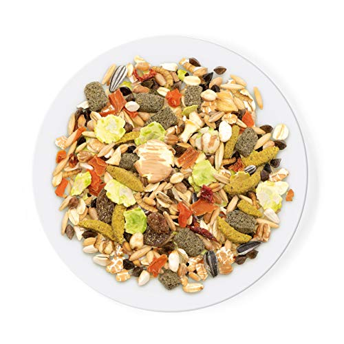 Witte Molen Pure Hamster Food Seed Mixture Mealworms, Sunflower Seeds, Puffed Rice, Grape Nuts, No Artificial Preservatives Dry Food, 1.7 lbs (2 Pack