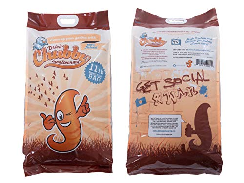 11lb Chubby Mealworms Bulk Dried Mealworms High Protein Treat for Chickens, Ducks, Birds and Much More