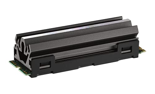 プレクスター Plextor PX-1TM10PG with Kioxia NAND Gen4 Compatible, Internal SSD, M.2, NVMe Heatsink Included Model, 1TB
