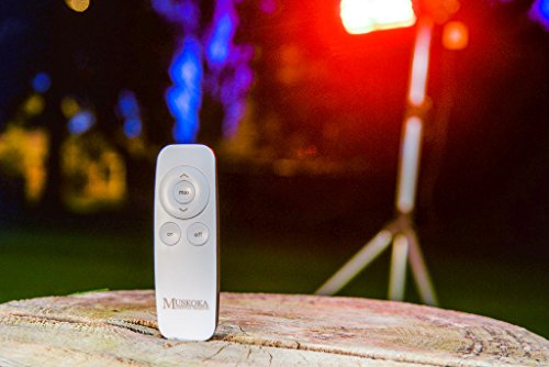 1500 Watt Gold Coated Tungsten Quartz Infrared Heater Remote Controlled Patio Heater/on Off/High/Low/med