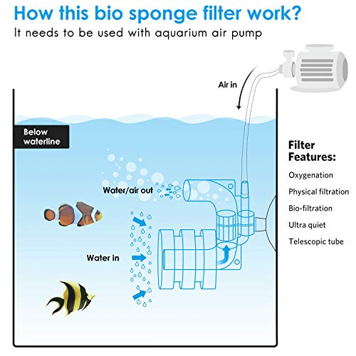capetsma Nano Aquarium Filter Sponge Fish Tank Filter, Ultra Quiet Sponge Filter Worked with Aquarium Air Pump, Include Spare Sponge and Bio Balls.