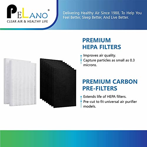 115115 Replacement Filter A, 116130 Replacement Filter H, Compatible with Winix C535,PlasmaWave Air Purifier 5300 6300 5300-2 5500-2 6300-2 P300 Plasma wave Air Purifier - 2 HEPA + 8 Carbon Filters
