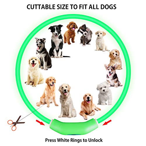 Novkin 2-Pack LED Dog Collar, Light Up Dog Collars,Rechargeable Dog Lights for Night Walking,Universal, Reusable Safety Necklace for Small Medium Large Dogs
