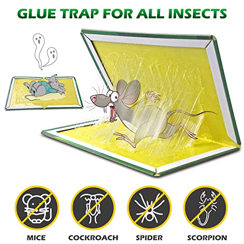 12 Pack Mouse Traps Indoor for Home Glue Traps for Mice and Rats, Sticky Board for House Indoor Outdoor Extra Glue(12"X8")