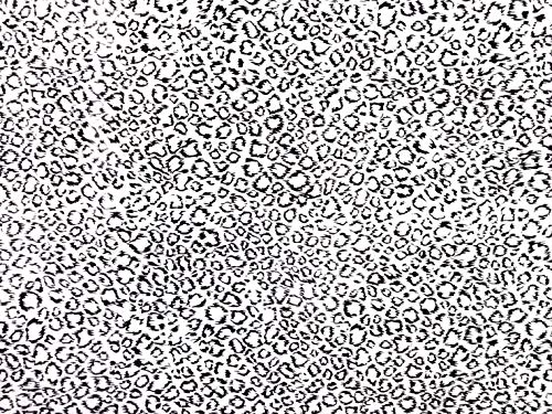 AMORNPHAN Set of 3 Black and White Animal Printed TC Cotton Fabric Leopard Zebra Cow Fat Quarters for DIY Sewing Crafts 18" x 22"