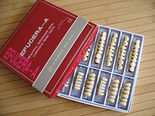 24 Plate 28X1 A1 Denture Shanghai ACRYLIC RESIN Teeth Dental Size 22