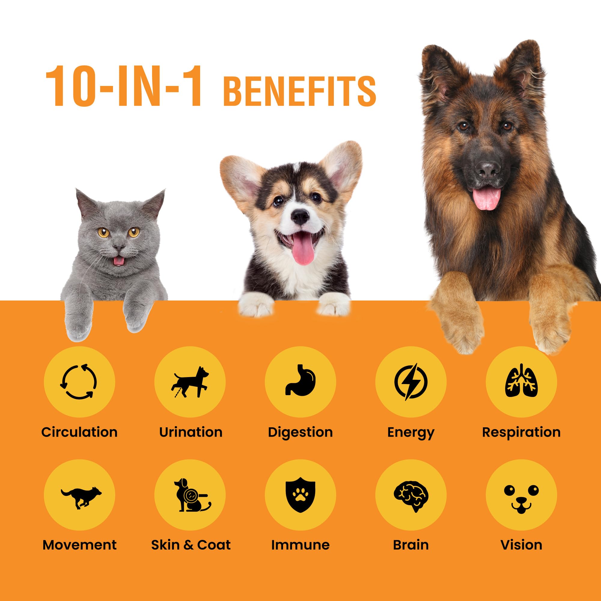 10-in-1 Liquid Multivitamin for Dogs and Cats, 4 Ounce Multi Vitamin Supplement, Vitamin for Dogs, Vitamins for Cats, with Glucosamine & Cranberry, 4 oz