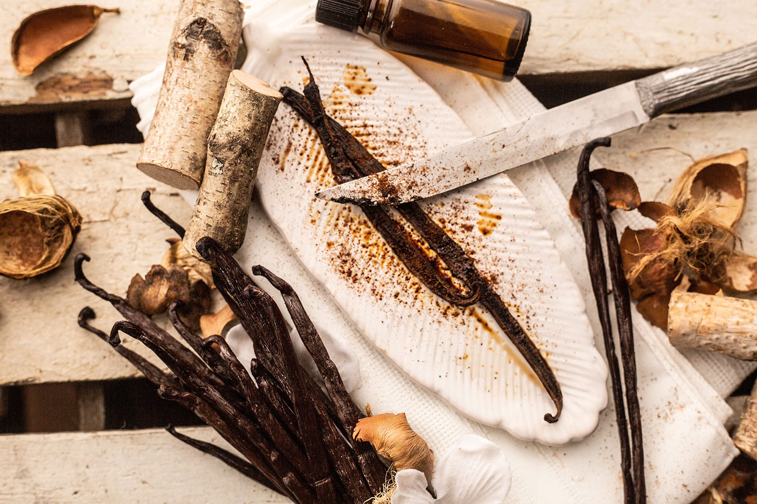 10 Vanilla Beans - Whole Extract Grade B Pods for Baking, Homemade Extract, Brewing, Coffee, Cooking - (Tahitian)