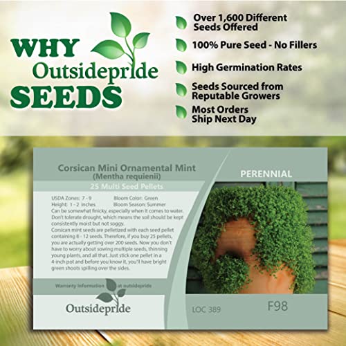 Outsidepride Corsican Ornamental Mini Mint Spreading, Mat Forming Ground Cover Plant Seeds - 25 Pellets