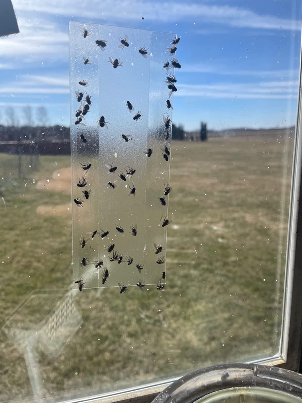 100 Count Window Fly Traps, Window Sticky Traps for Indoors, Clear Window Strip, Fly Catcher Trap for Home Houseflies, No Residue Fruit Fly Sticky Traps