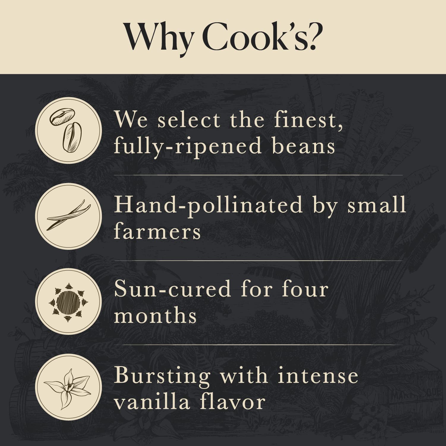 10 Organic Madagascar Whole Vanilla Beans, Grade A Vanilla Pods, Premium Vanilla Beans for Making Extract & Baking - Cook’s