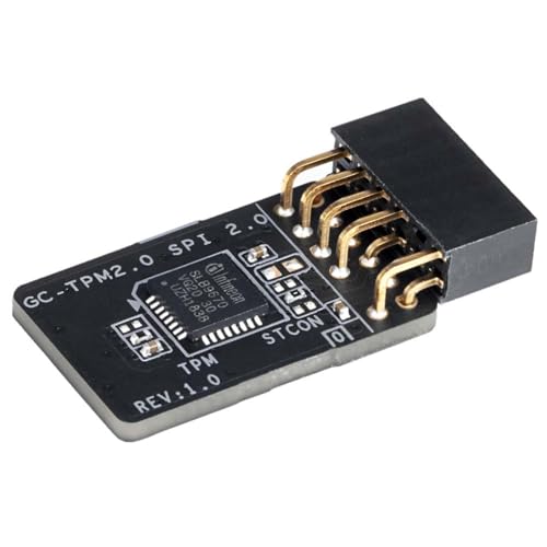 Gigabyte Module TPM 2.0 Compatible Pour Carte mère Intel 400/300 Series ou AMD B350