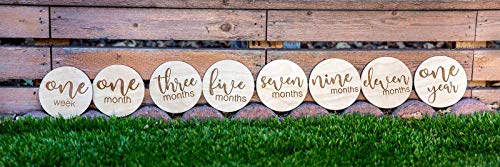 Baby Milestone Wood Circles