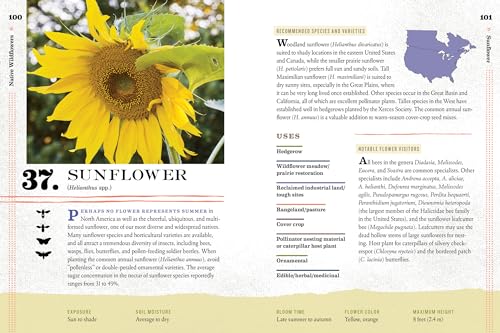 100 Plants to Feed the Bees: Provide a Healthy Habitat to Help Pollinators Thrive