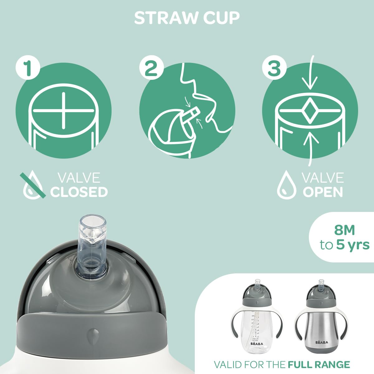 BEABA Straw Sippy Cup, Toddler Baby Straw Cup with Removable Handles, Leak and Spill Proof, BPA Phthalate Free, 8+ months, 10 oz, (Rain)