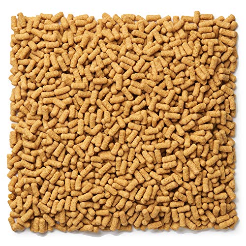 Mazuri | Softbill Diet for Iron-Sensitive Birds | 2 Pound (2 LB) Bag