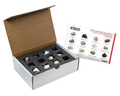 12 Piece Introduction to Sedimentary Rocks Kit - Includes 1" Specimens - Great for Geology Classrooms & Basic Field Testing Labs - Tech Cut Rocks by Eisco Labs