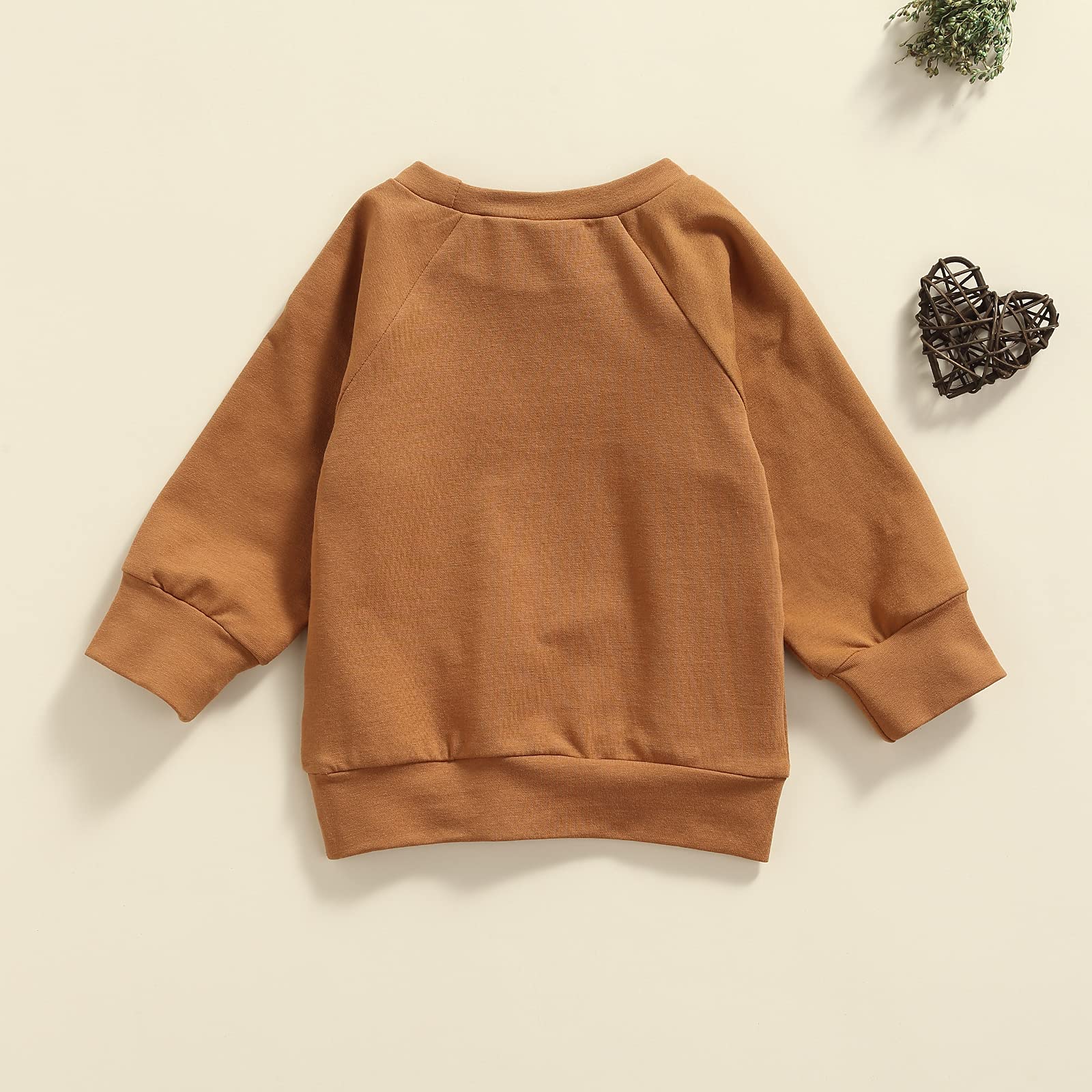 Infant Sweatshirt Toddler Crewneck Sweater Newborn Hoodies Baby Boy Girls Clothes Letter Printed Fall Spring Pullover (Yellow, 6-12 Months)